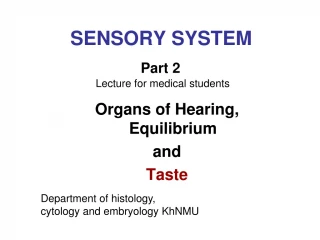 PPT - The Sensory System Examination PowerPoint Presentation, free ...