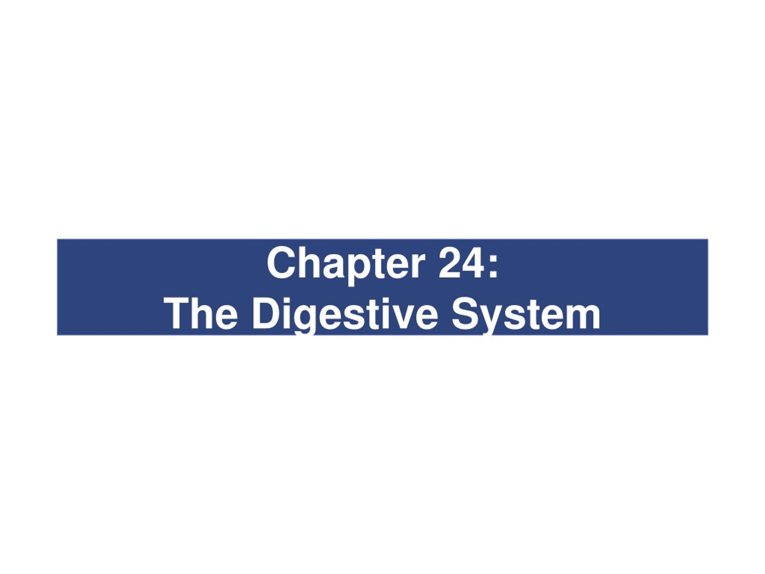 PPT - Digestive System: Key Functions and Mechanisms PowerPoint ...