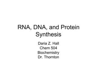 PPT - Chapter 10 DNA, RNA, & Protein Synthesis PowerPoint Presentation ...