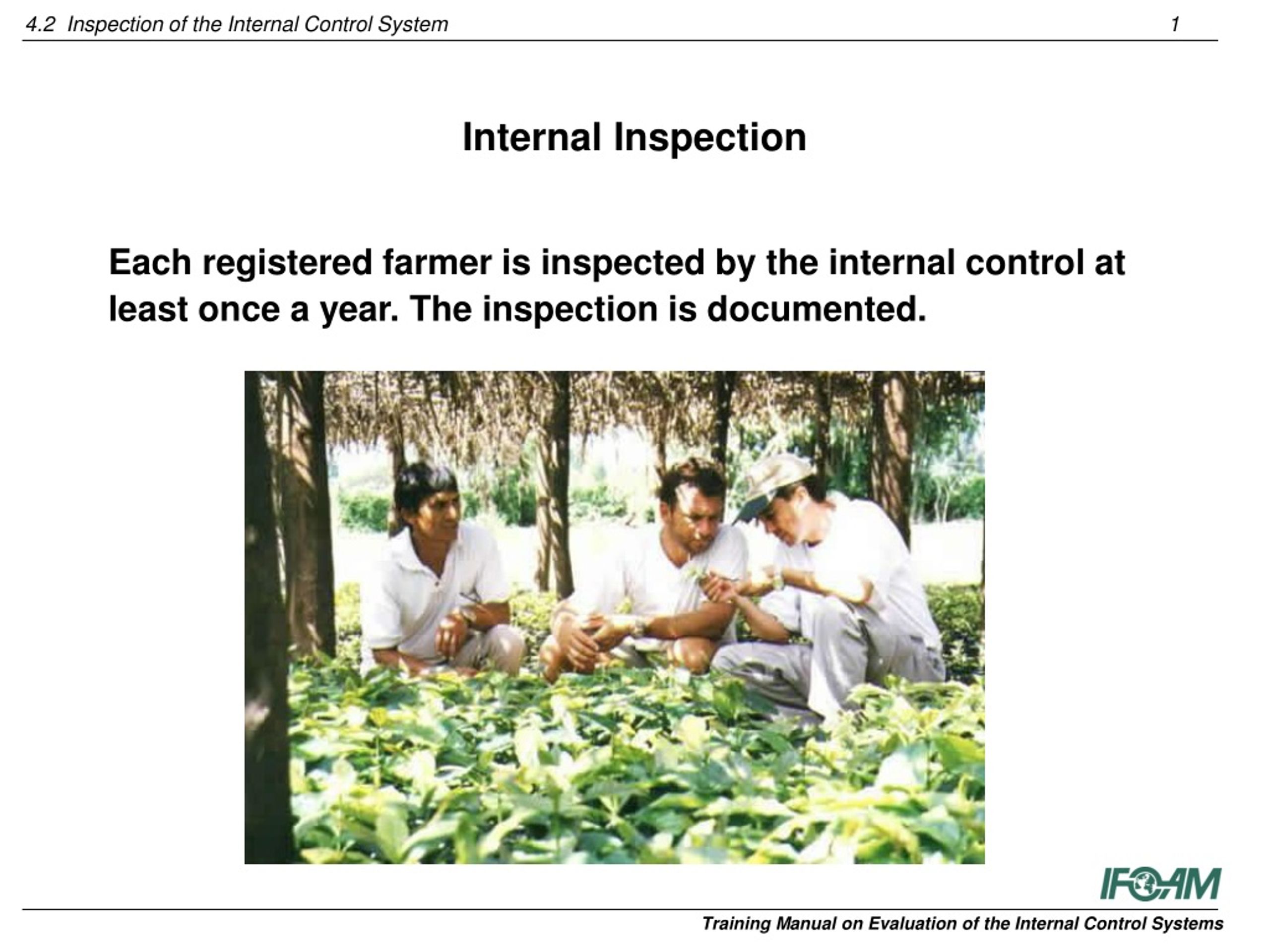 PPT - Internal Inspection PowerPoint Presentation, free download - ID ...