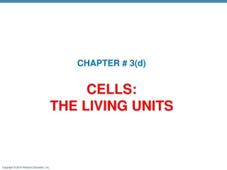 PPT - Cells: The Living Units PowerPoint Presentation, free download ...