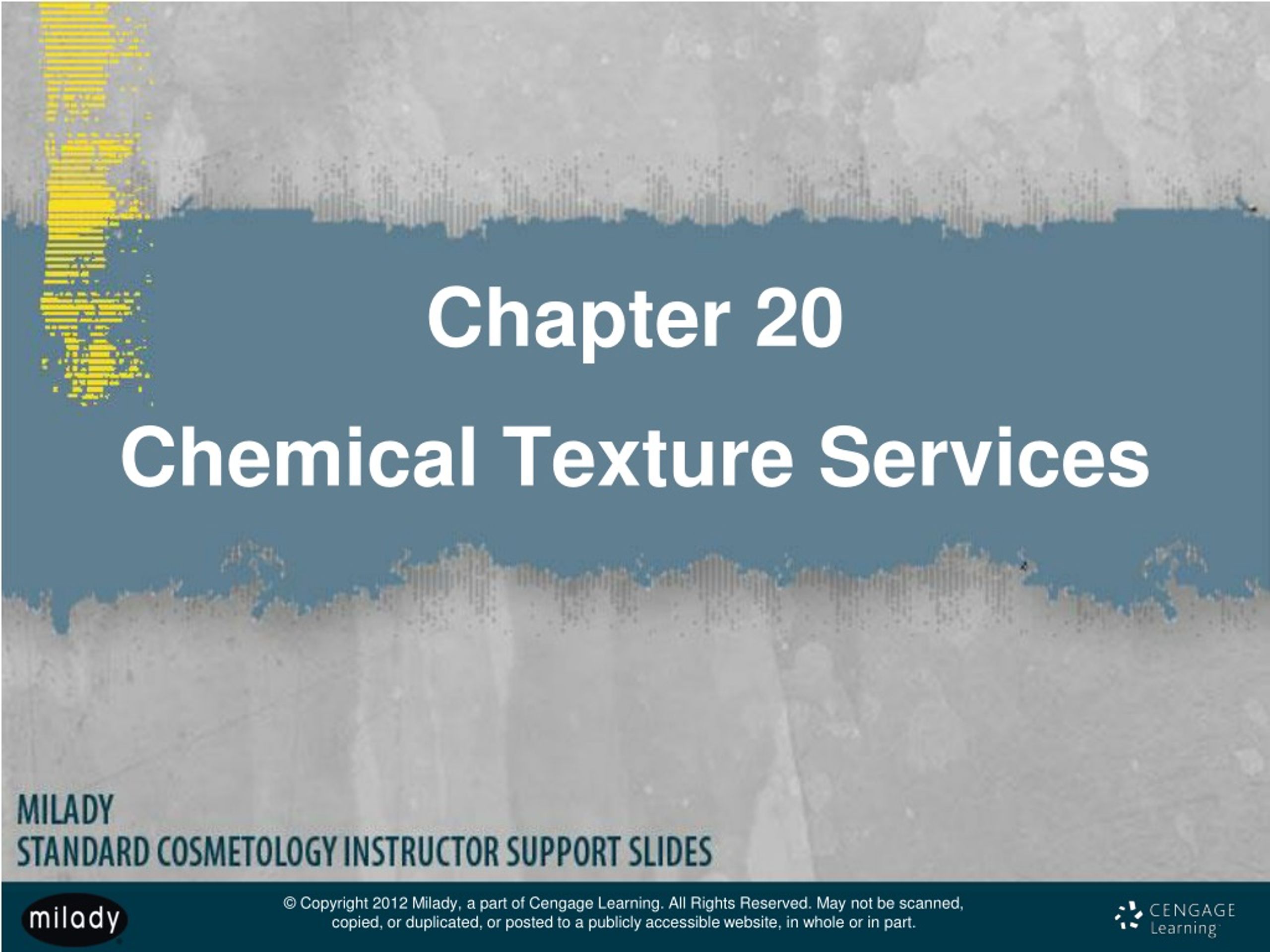 PPT - Chemical Texture Services: Hair Structure & Techniques for ...