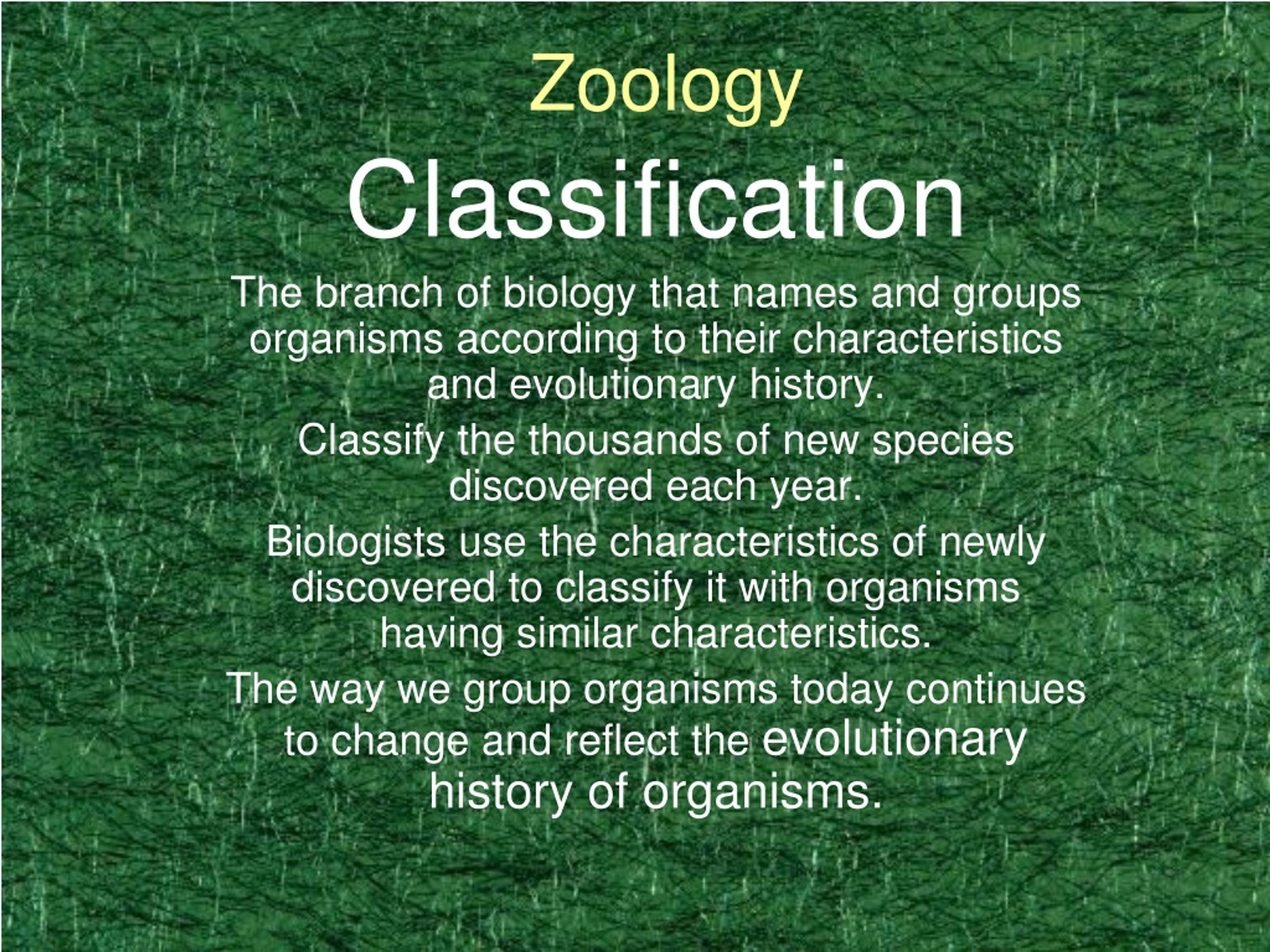 PPT - Zoology PowerPoint Presentation, free download - ID:9253307