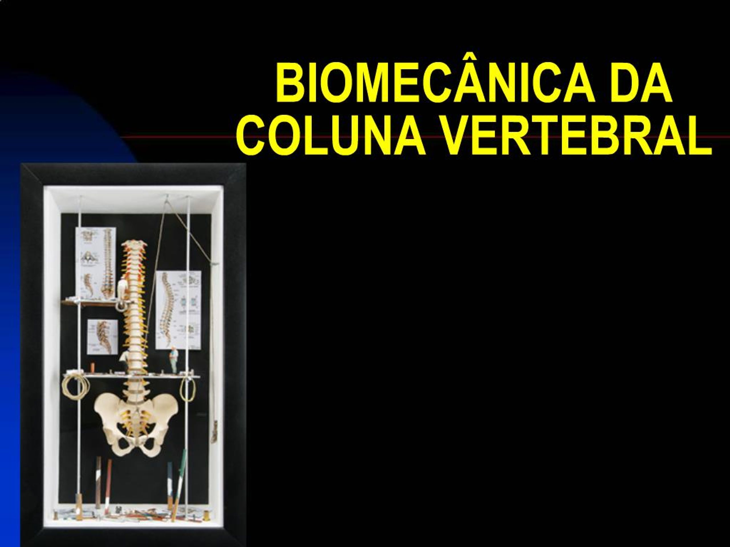 PPT - BIOMEC NICA DA COLUNA VERTEBRAL PowerPoint Presentation, free download - ID:926246
