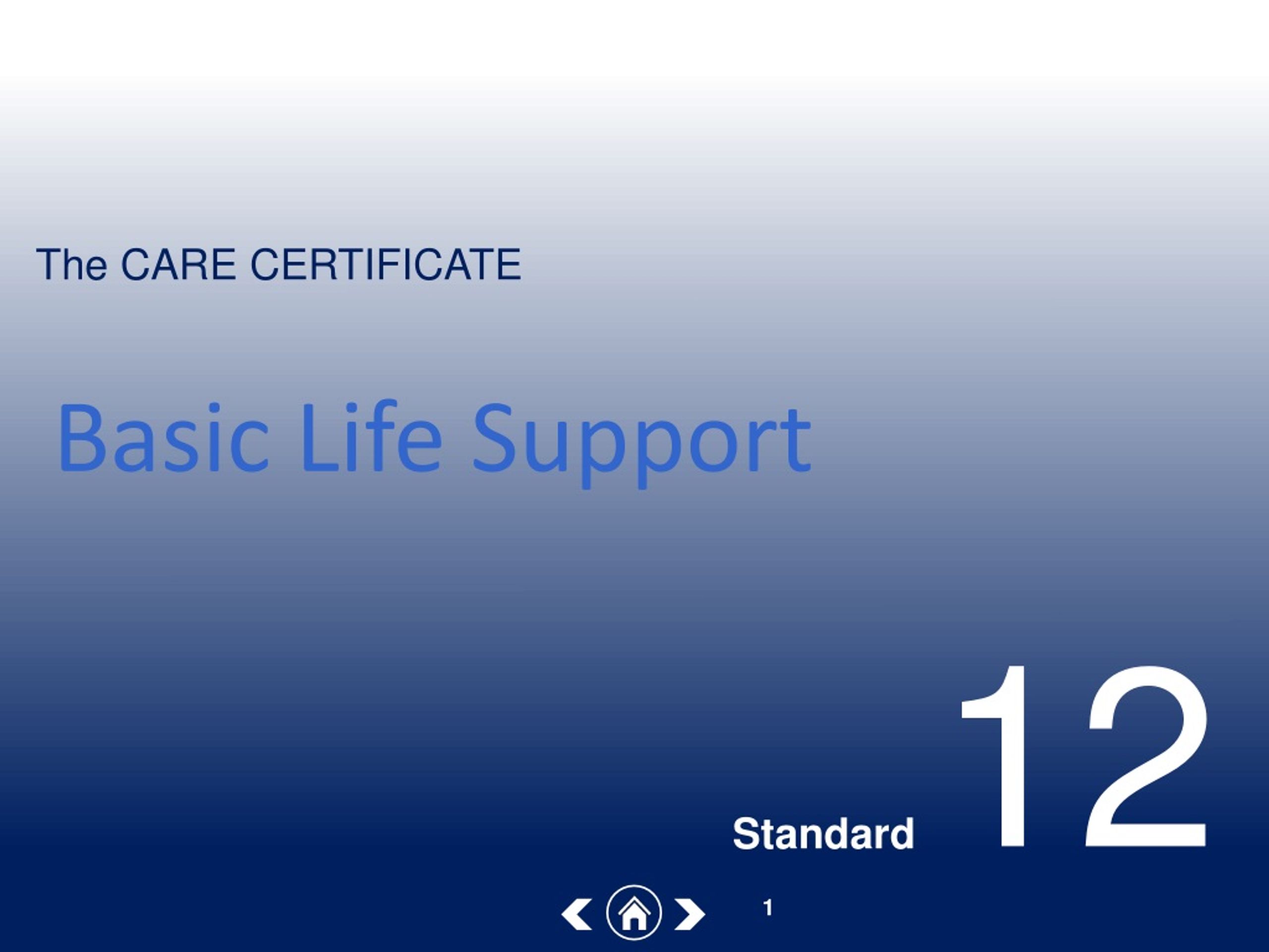 PPT - Basic Life Support PowerPoint Presentation, free download - ID:927567