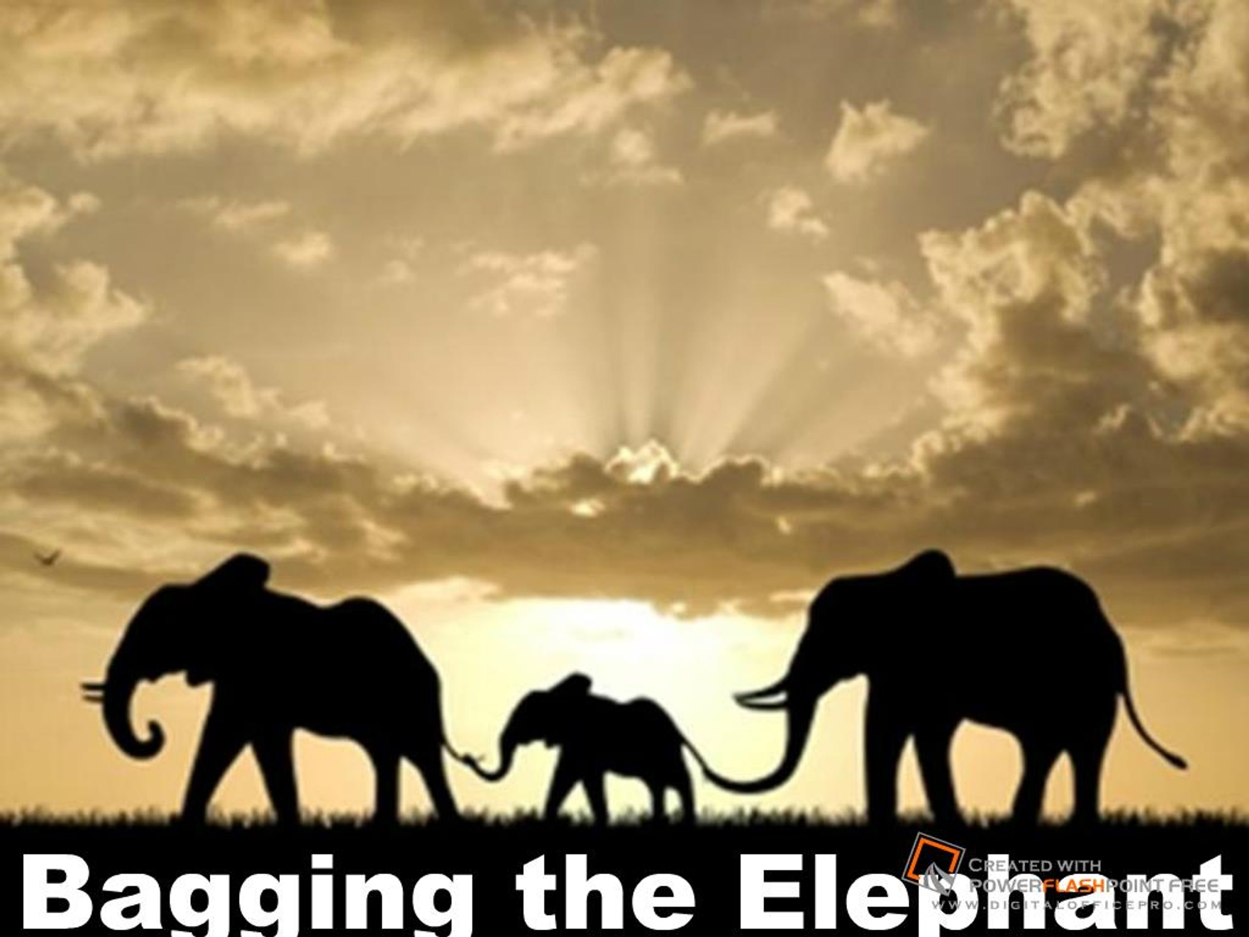 PPT - Bagging the Elephant PowerPoint Presentation, free download - ID ...