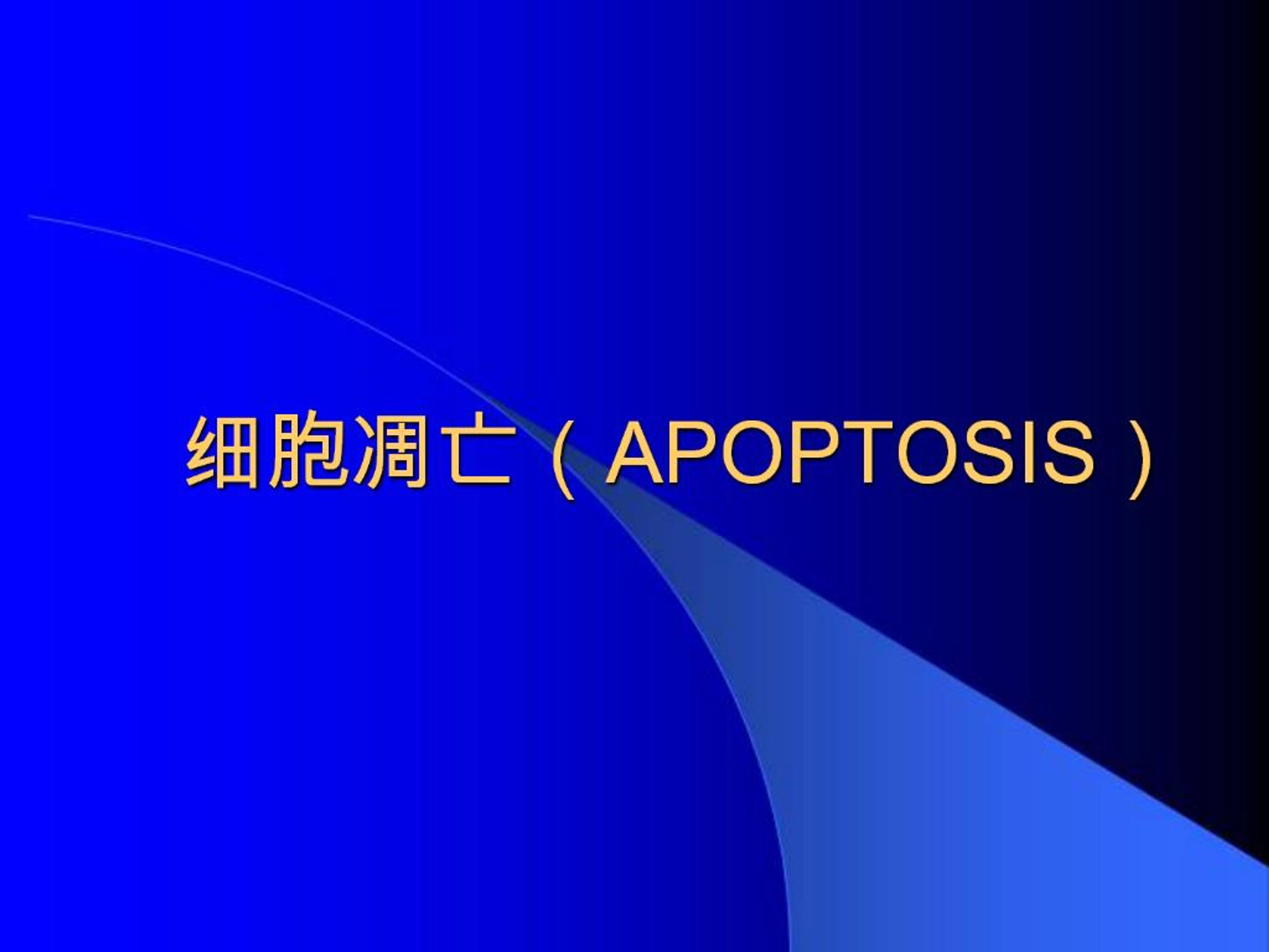 PPT - Timeline of Apoptosis Discovery: Kerr to Present Day PowerPoint ...