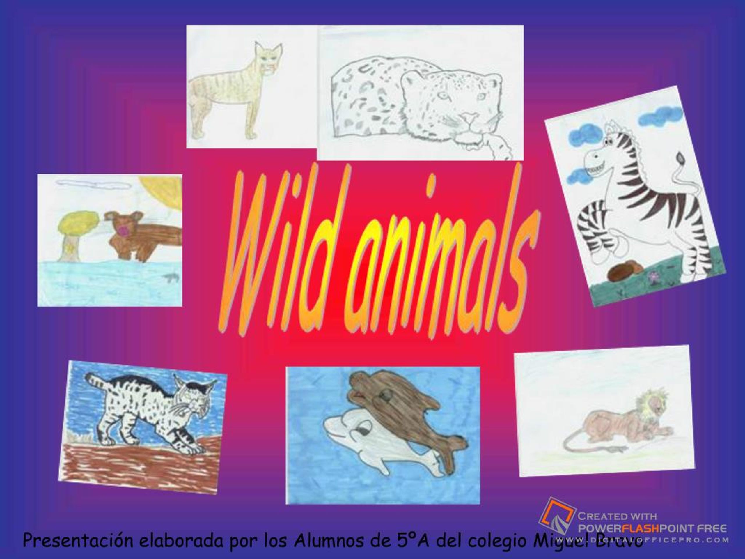 PPT - Wild Animals PowerPoint Presentation, free download - ID:95610