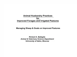 PPT - Animal Husbandry PowerPoint Presentation, free download - ID:6525478