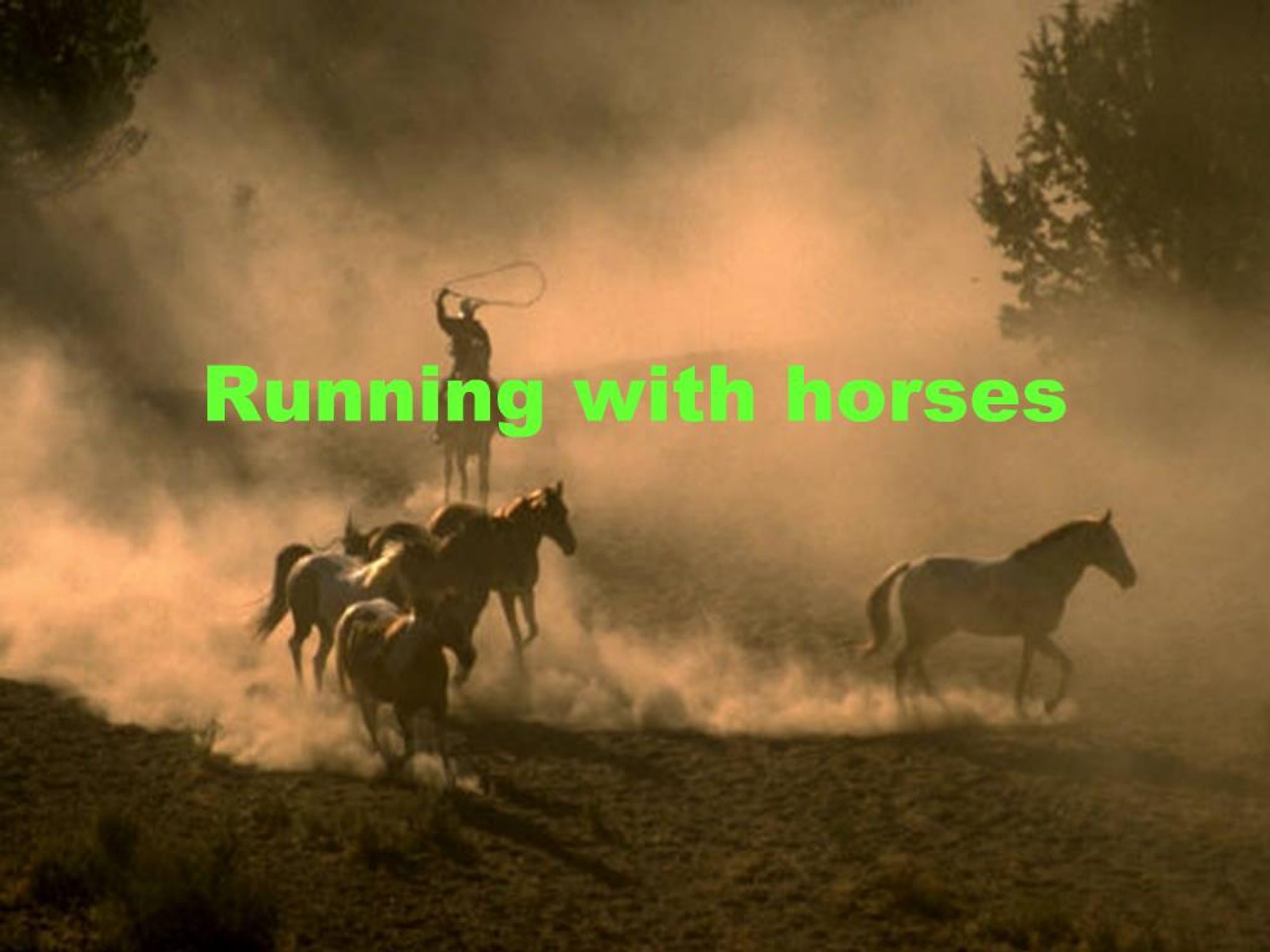 PPT - Running with horses PowerPoint Presentation, free download - ID ...