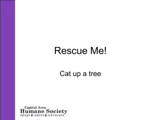 PPT - RESCUE ME Pediatric Fractures and Pain Control PowerPoint ...