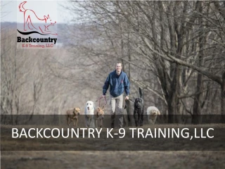 PPT - Dogs Tail - The Value of Dog Training PowerPoint Presentation ...