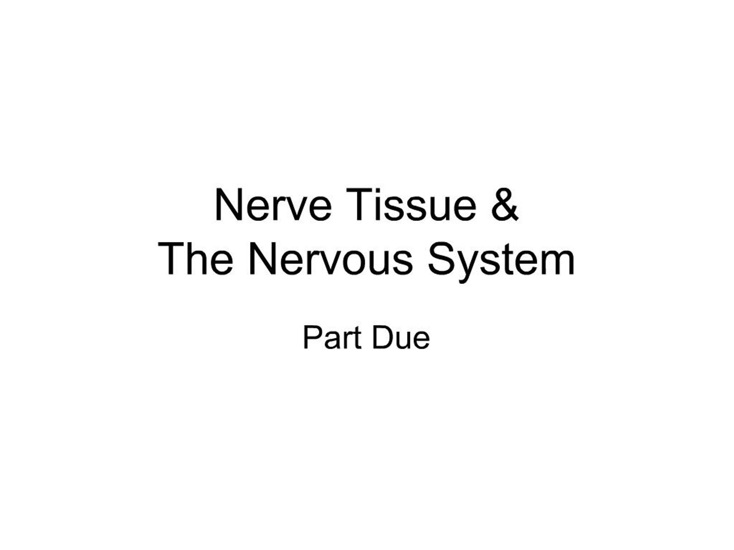PPT - Nerve Tissue The Nervous System PowerPoint Presentation, free ...