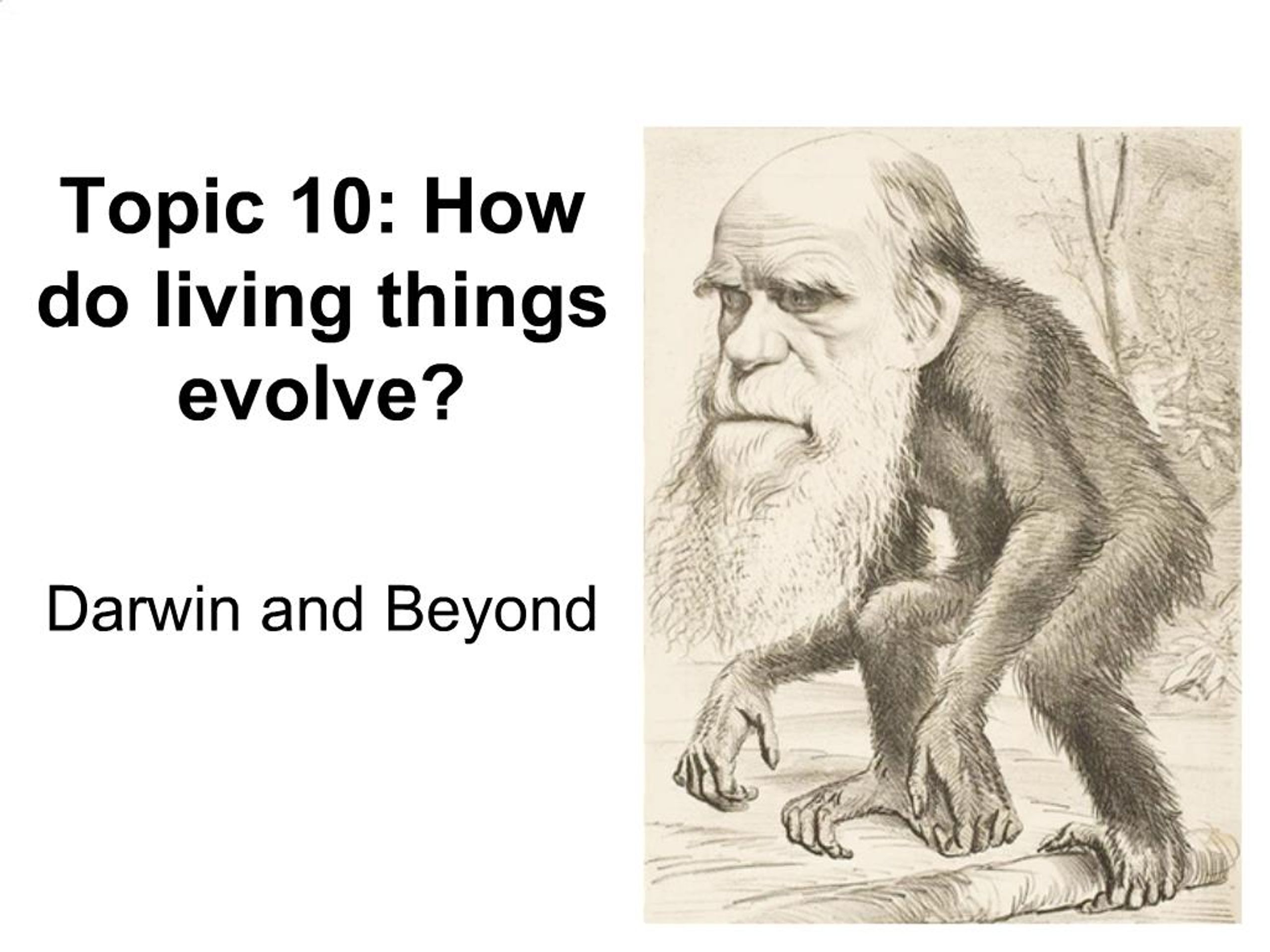 PPT - The Evolutionary Dance: Understanding How Living Things Grow and ...