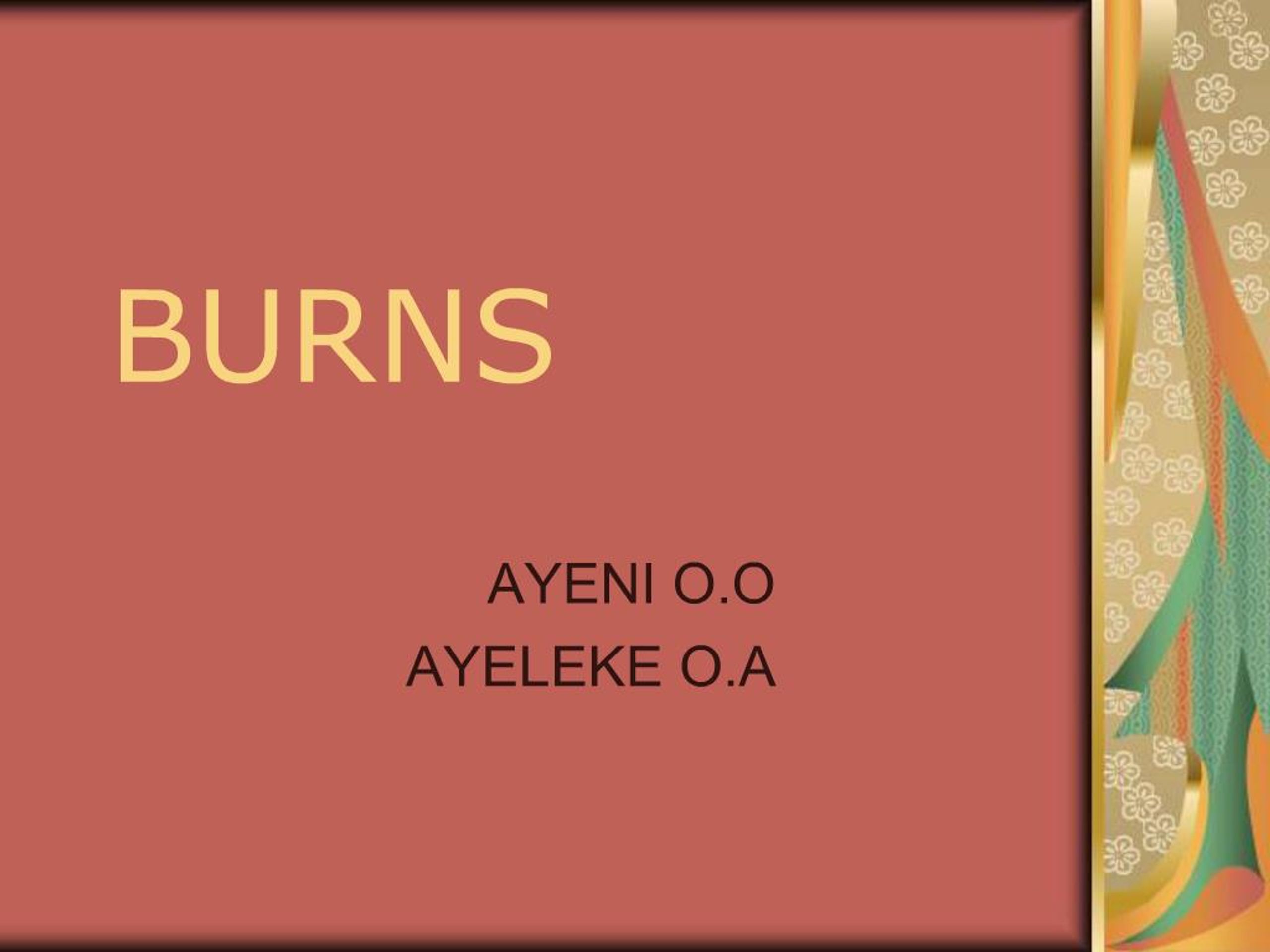 PPT - BURNS PowerPoint Presentation, free download - ID:981471