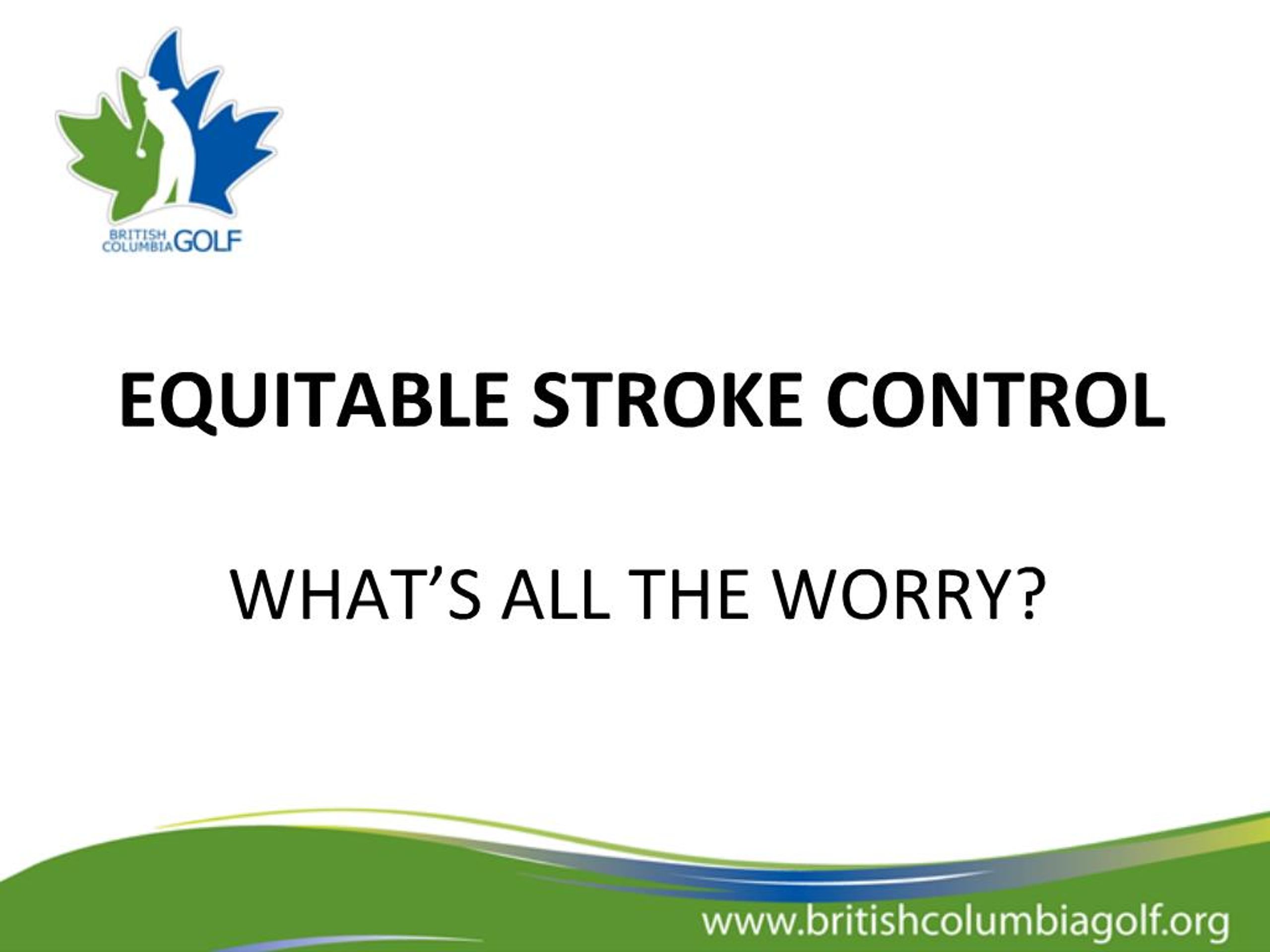 PPT - EQUITABLE STROKE CONTROL PowerPoint Presentation, free download ...