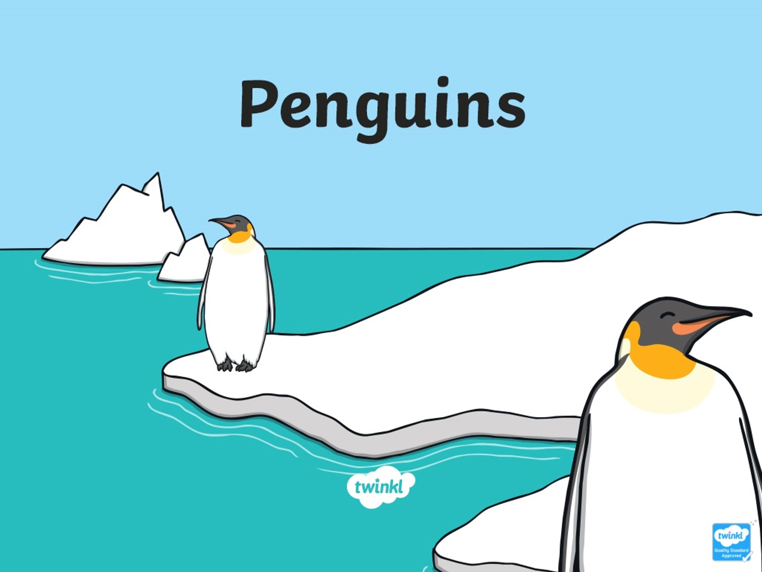 PPT - Penguins PowerPoint Presentation, free download - ID:987766